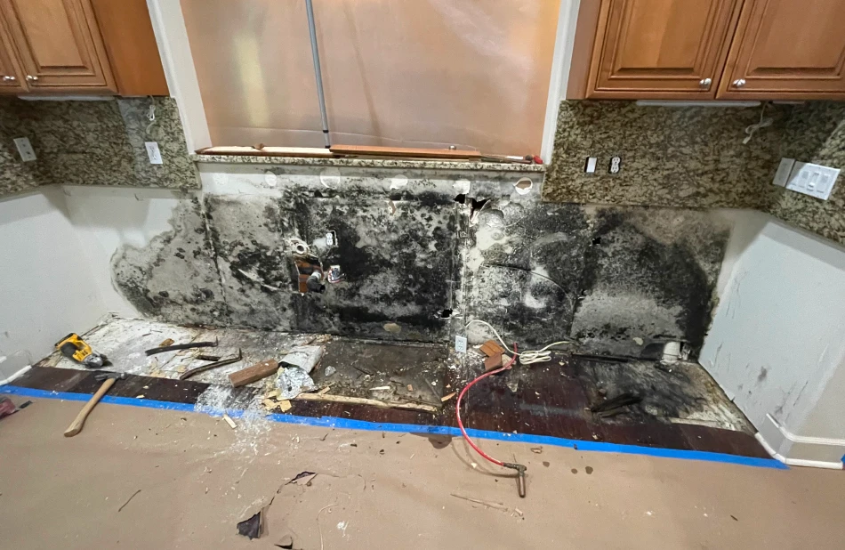 Water Damage Repair Service Tukwila, WA | Roots to Roof